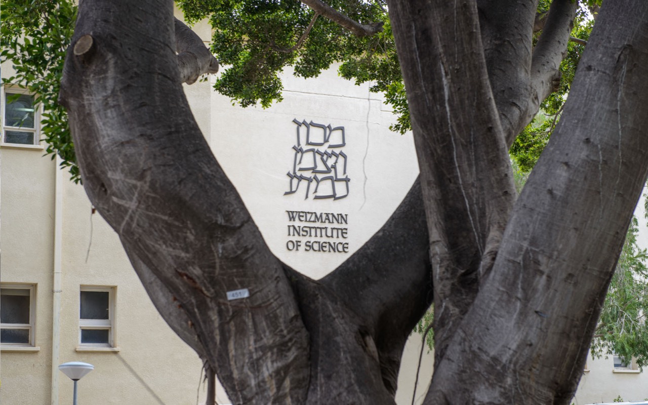 Weizmann Institute Establishes a Medical Studies Program in Joint ...