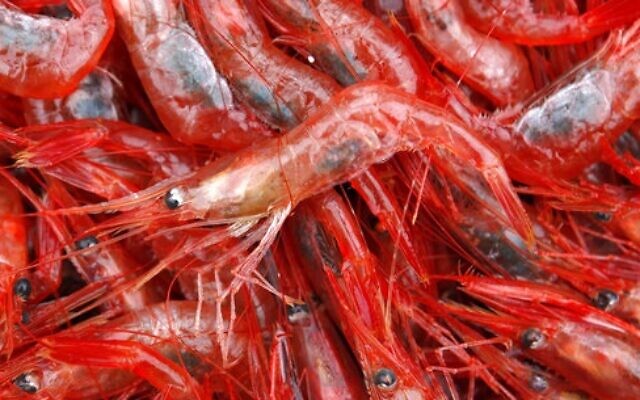 Shrimp Eyes May Hold Key to Developing Nontoxic, Non-fading Paints and ...