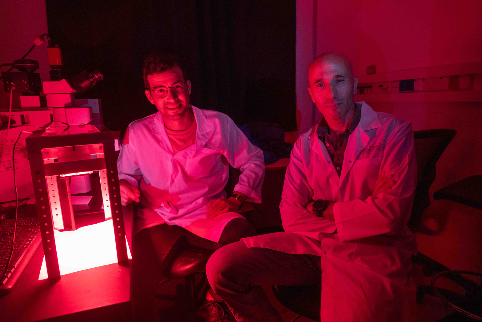 Shining a Light on the Developing Brain: How Parental Separation Shapes ...